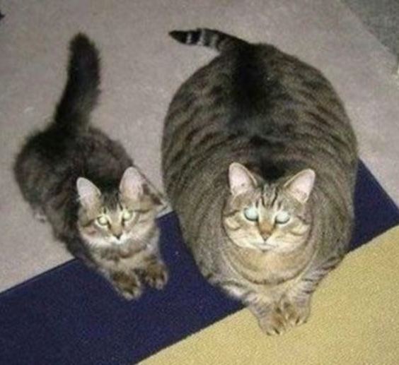 Skinny-to-Fat Photo Timeline | 5-6-7-8 Dancing My Way to a Healthy Me!